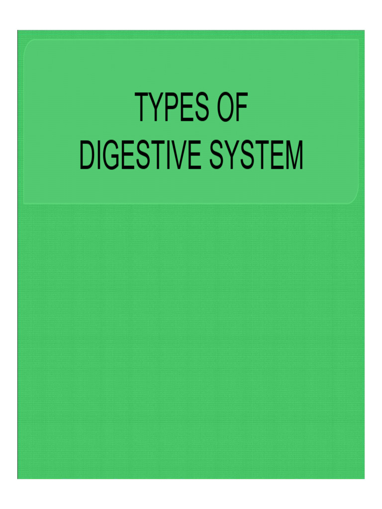 Types of Digestive System | PDF