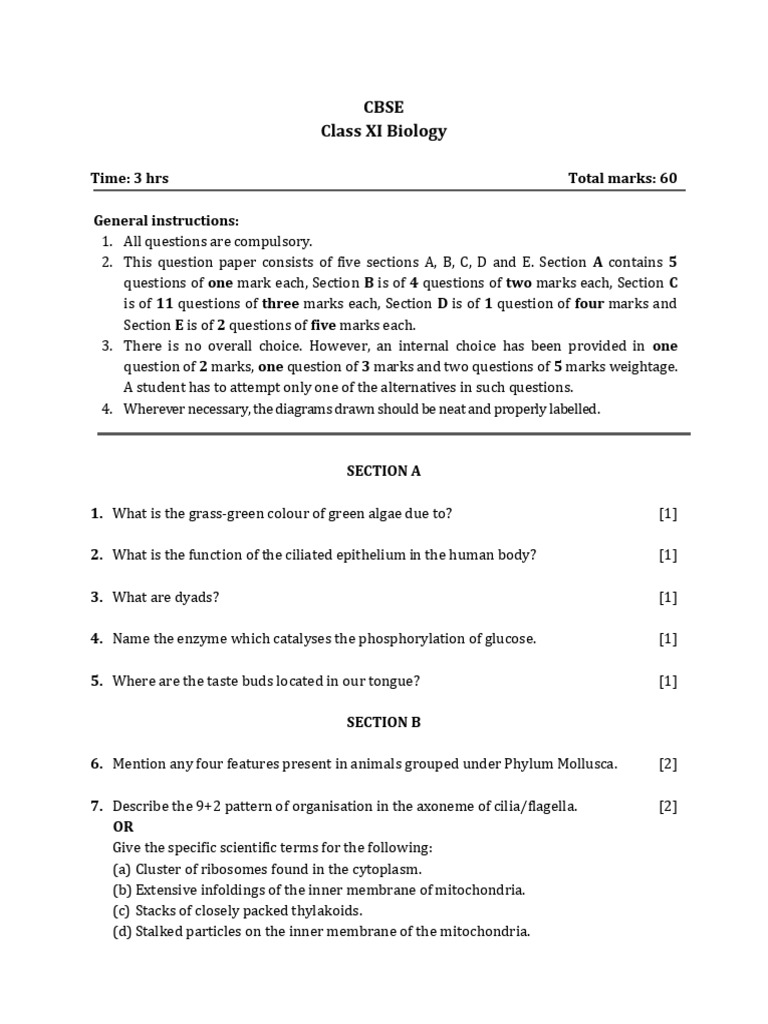 Class 11 Biology Exam Paper 2023 | PDF | Retina | Cell (Biology)