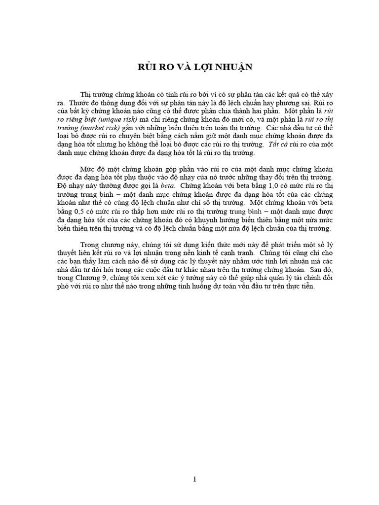 Rui Ro Va Loi Nhuan | PDF