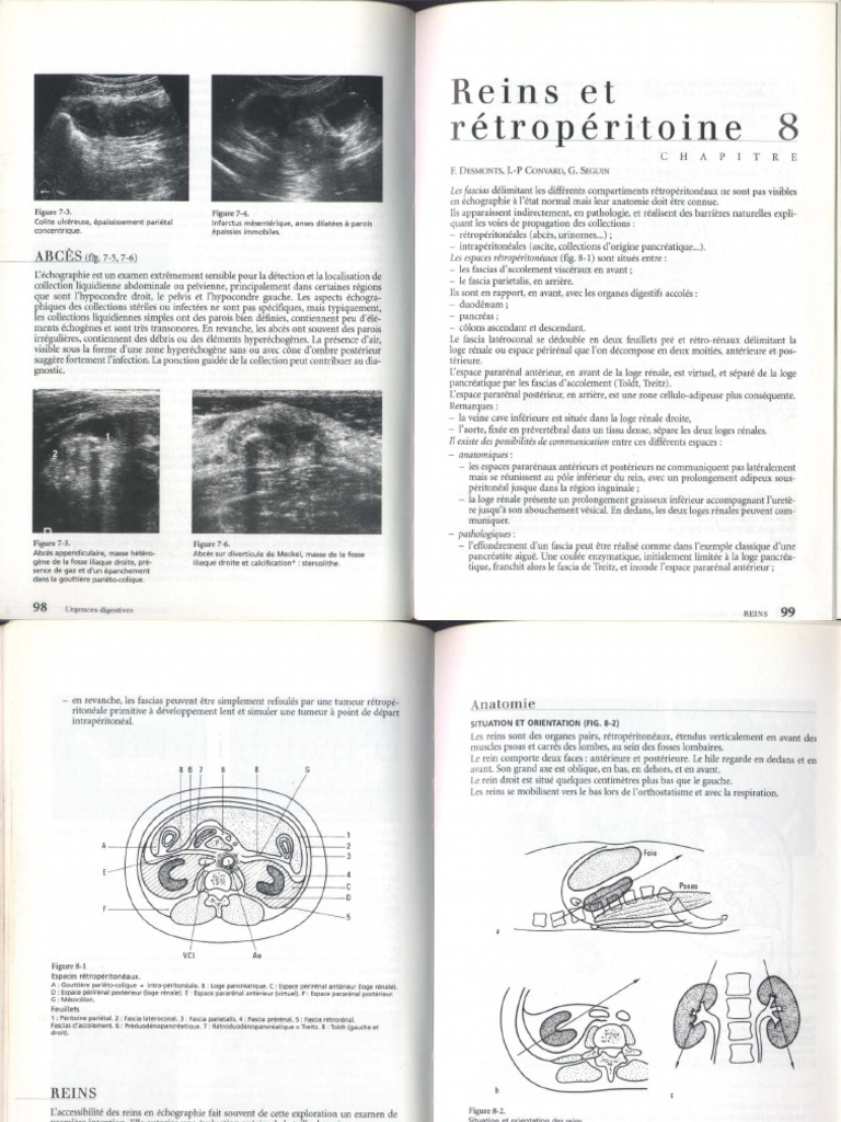 CH 8 Reins Et Rétropéritoine | PDF