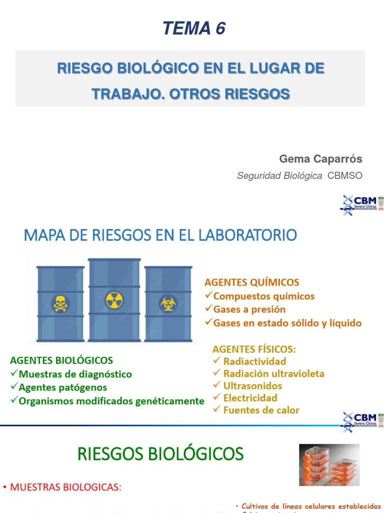 MG-T6 riesgos lugar trab_TFABS 2022 | PDF | Patógeno | Rabia