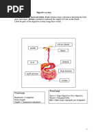 Digestive System Organs Cut Outs | PDF