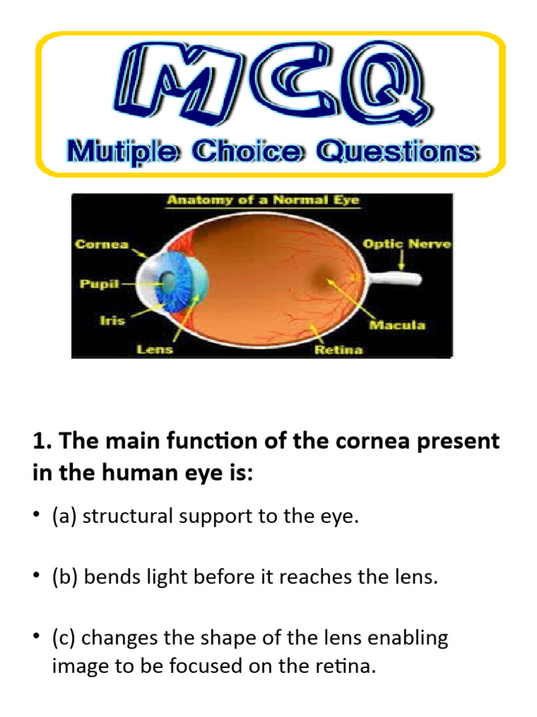 MCQS On Eye | PDF | Eye | Human Eye