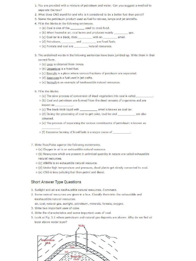 Important Questions For Class 8 Science Chapter 5 Coal and Petroleum | PDF