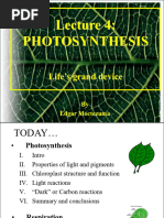Photosynthesis POGIL Answer Key | PDF | Photosynthesis | Chloroplast
