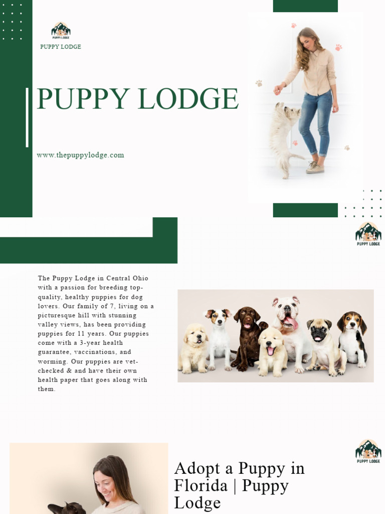 Adopt A Puppy in Florida Puppy Lodge | PDF | Wellness