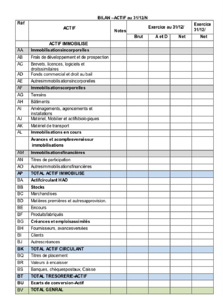 Bilan Comptable Syscohada Revisé | PDF