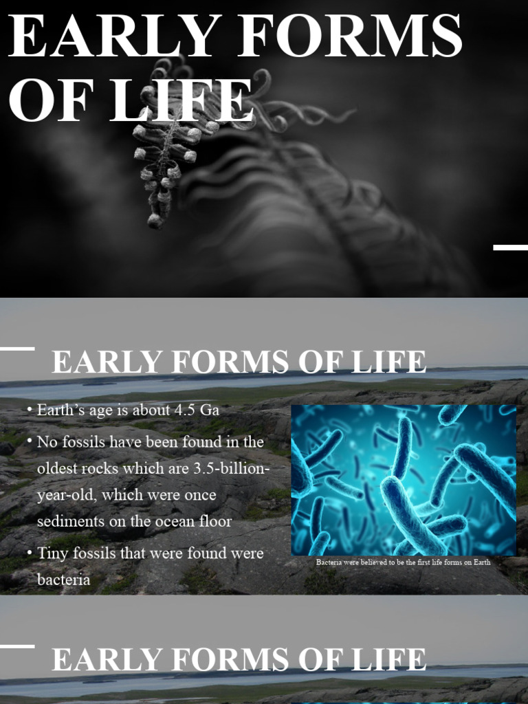 Early Life Forms: Bacteria Classification | PDF | Science & Mathematics