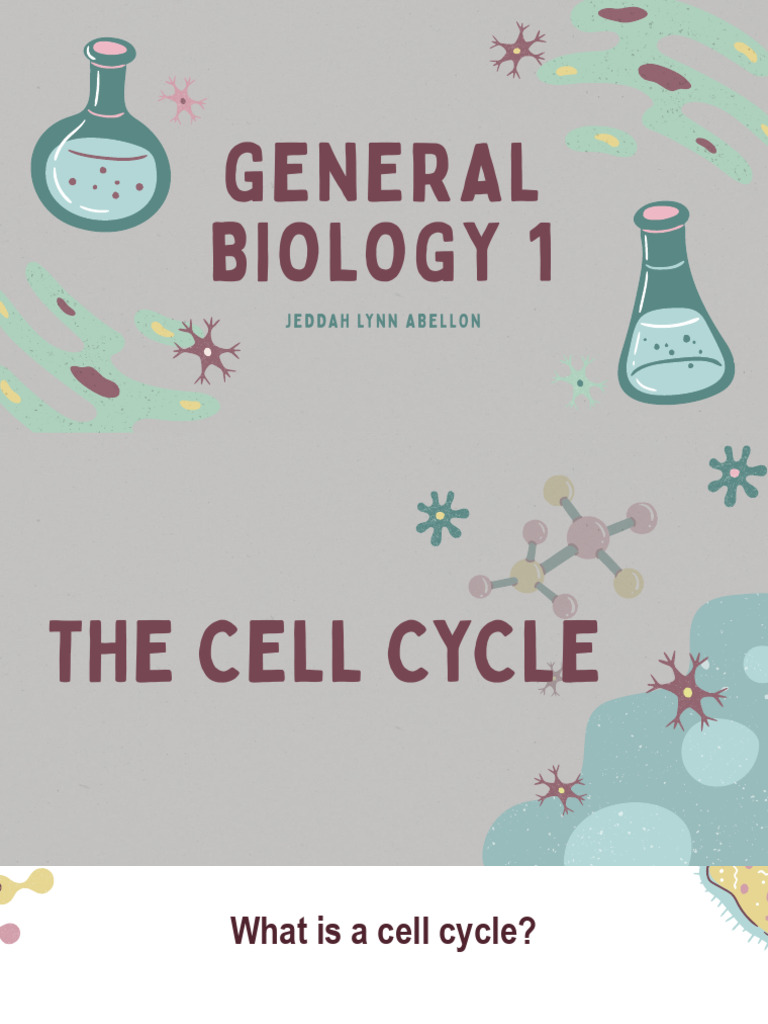 Cell Cycle | PDF | Chromosome | Mitosis
