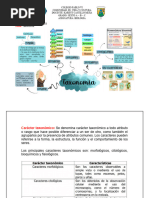Allobates niputidea: Especie Única | PDF | Taxonomía (biología) | Género