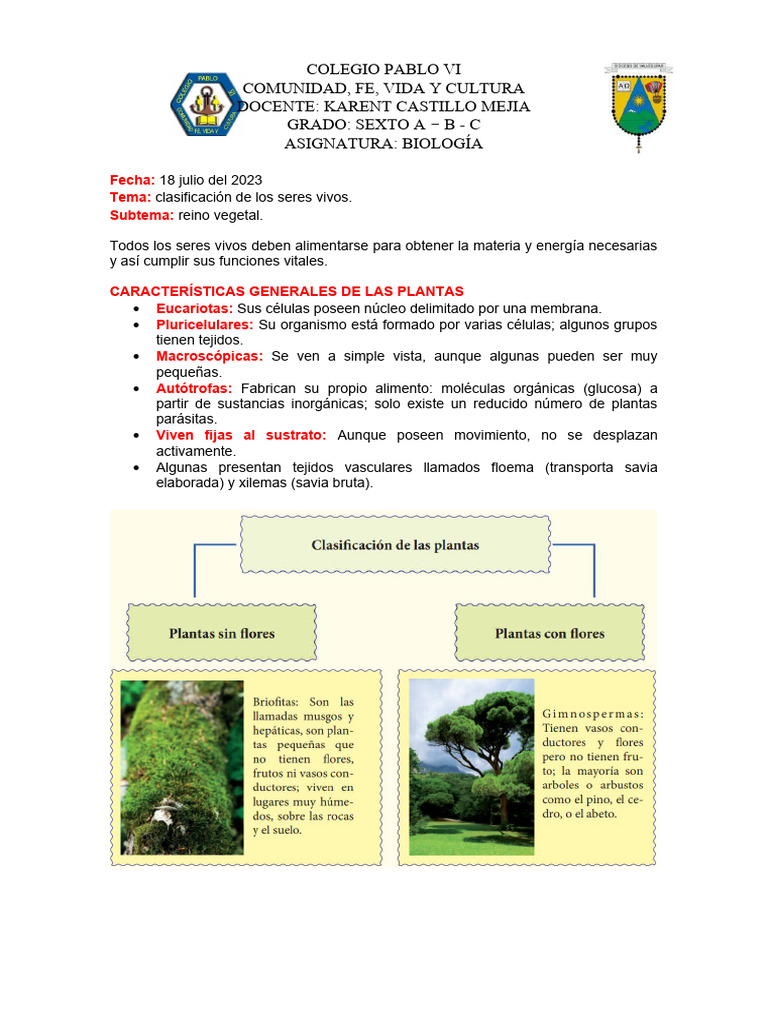 Clasificación del Reino Vegetal | PDF | Hogar, jardinería y bricolaje ...