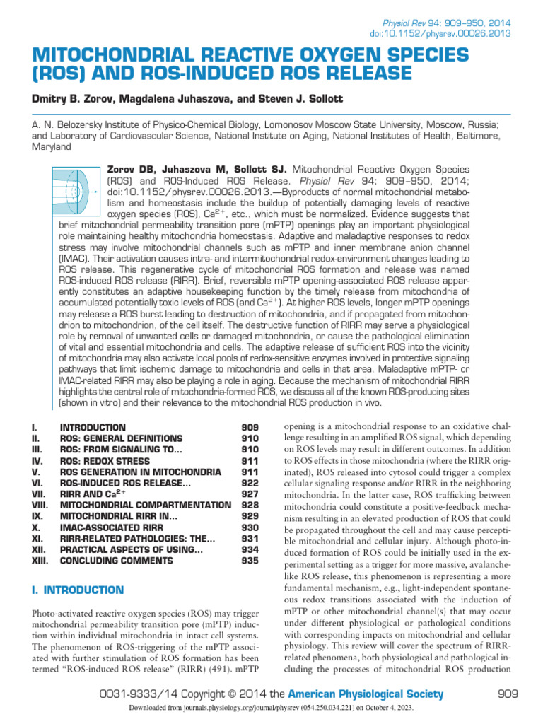 Zorov Et Al 2014 Mitochondrial Reactive Oxygen Species (Ros) and Ros ...
