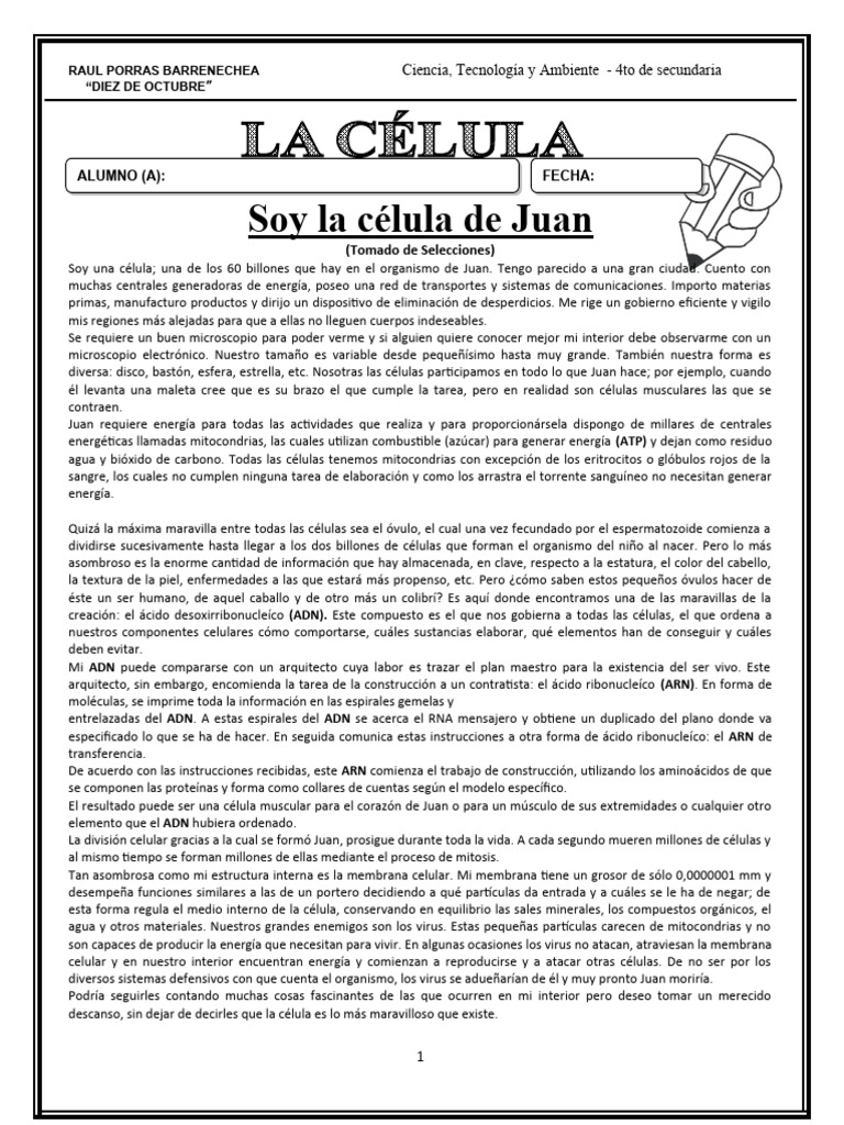 Ficha Celula Con Lectura Motivacion | PDF | Adn | Rna