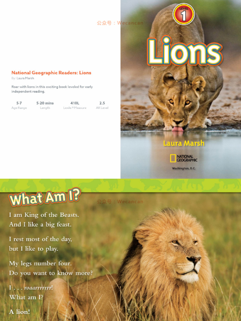 L1 07-Lions | PDF