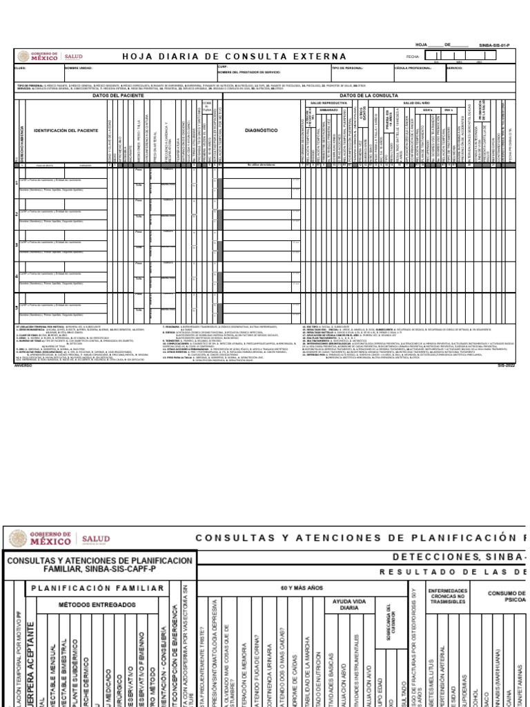 Nueva Hoja Diaria 2023 | Descargar gratis PDF | Medicina CLINICA ...