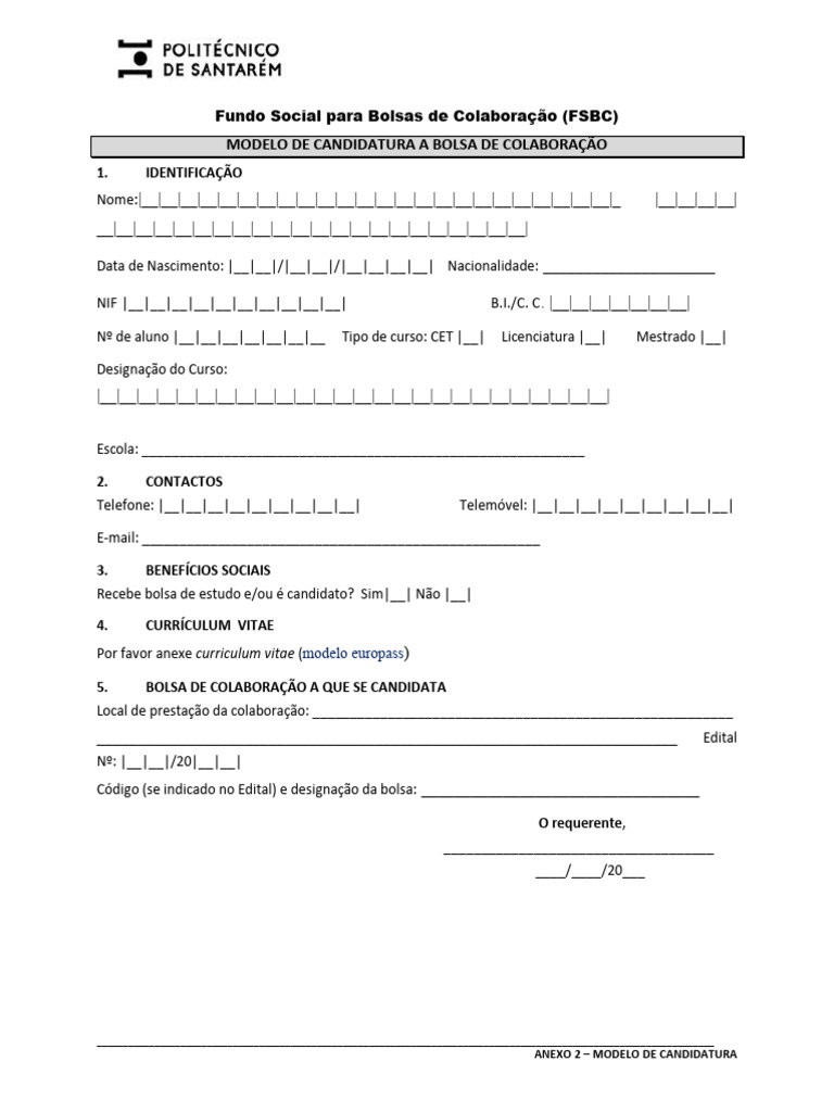 Anexo 2-Modelo de Candidatura-1 | PDF