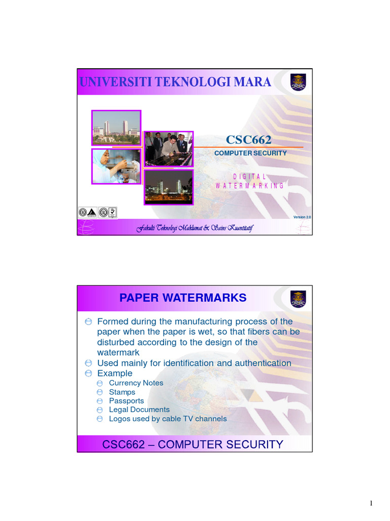 06 - Watermarking | PDF