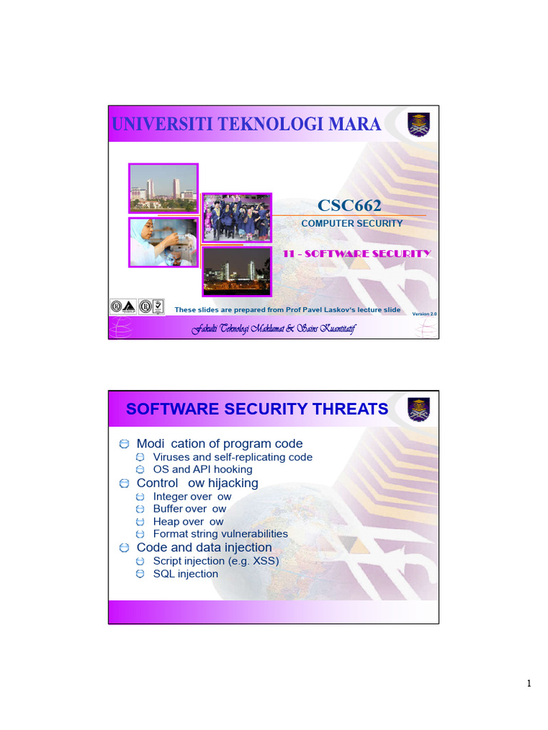 11 - Software Security | PDF | Malware | Computer Virus