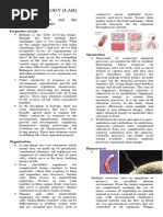 Human Karyotyping Activity | PDF | Karyotype | Chromosome