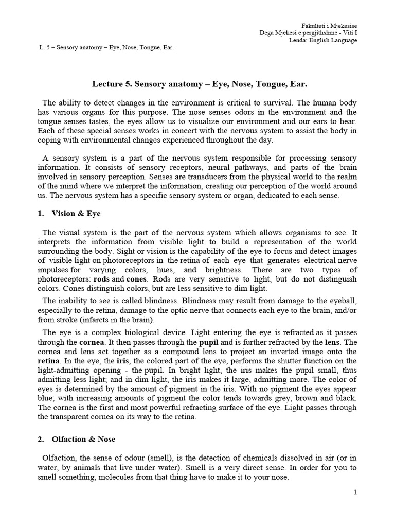 L.3,2 - Sensory Anatomy - Tongue, Eye, Ear, Nose | PDF