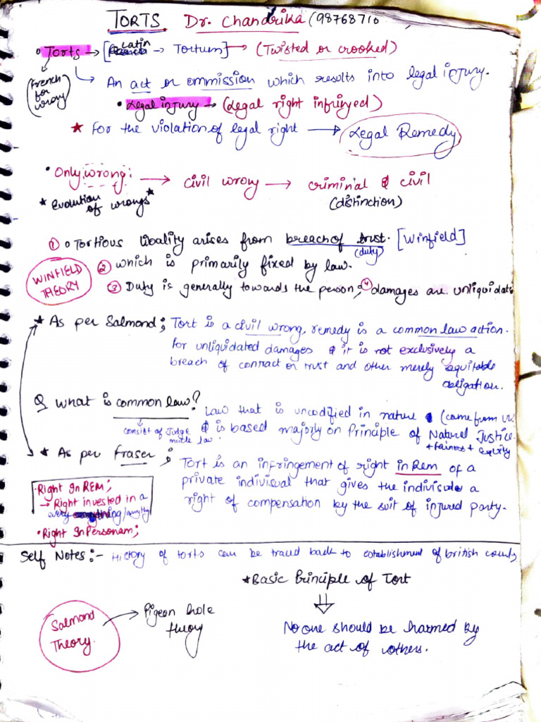 Legal Case Analysis and Insights | PDF