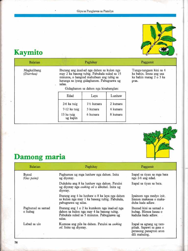Kaymito: Maria | PDF