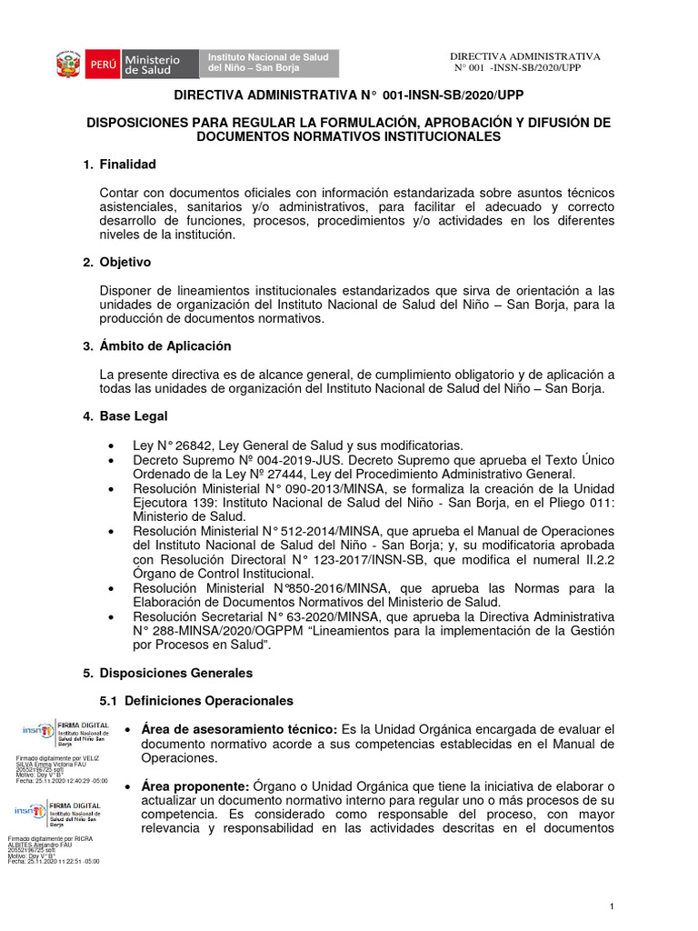 RD N° 000247-2020-DG-INSNSB - Directiva Disposiciones para regular la ...