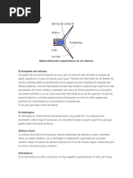 Partes Del Estetoscopio y Sus Funciones | PDF
