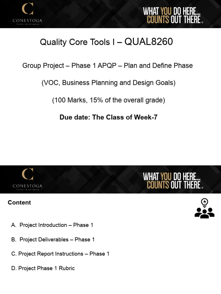 QUAL8260 Group Project Phase 1 | PDF