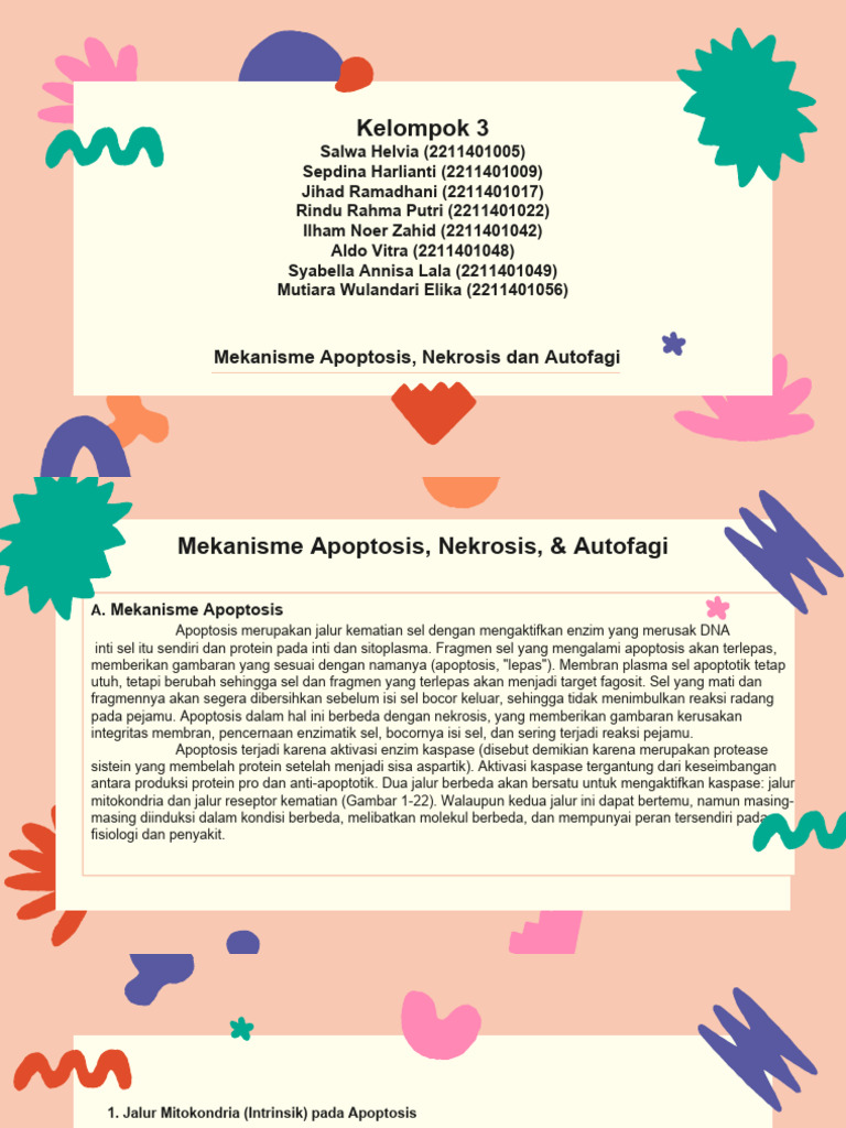 Mekanisme Kematian Sel: Apoptosis, Nekrosis, Autofagi | PDF | Kesehatan ...