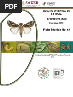 Gusano Soldado Spodoptera Exigua | PDF | Control biológico de plagas ...