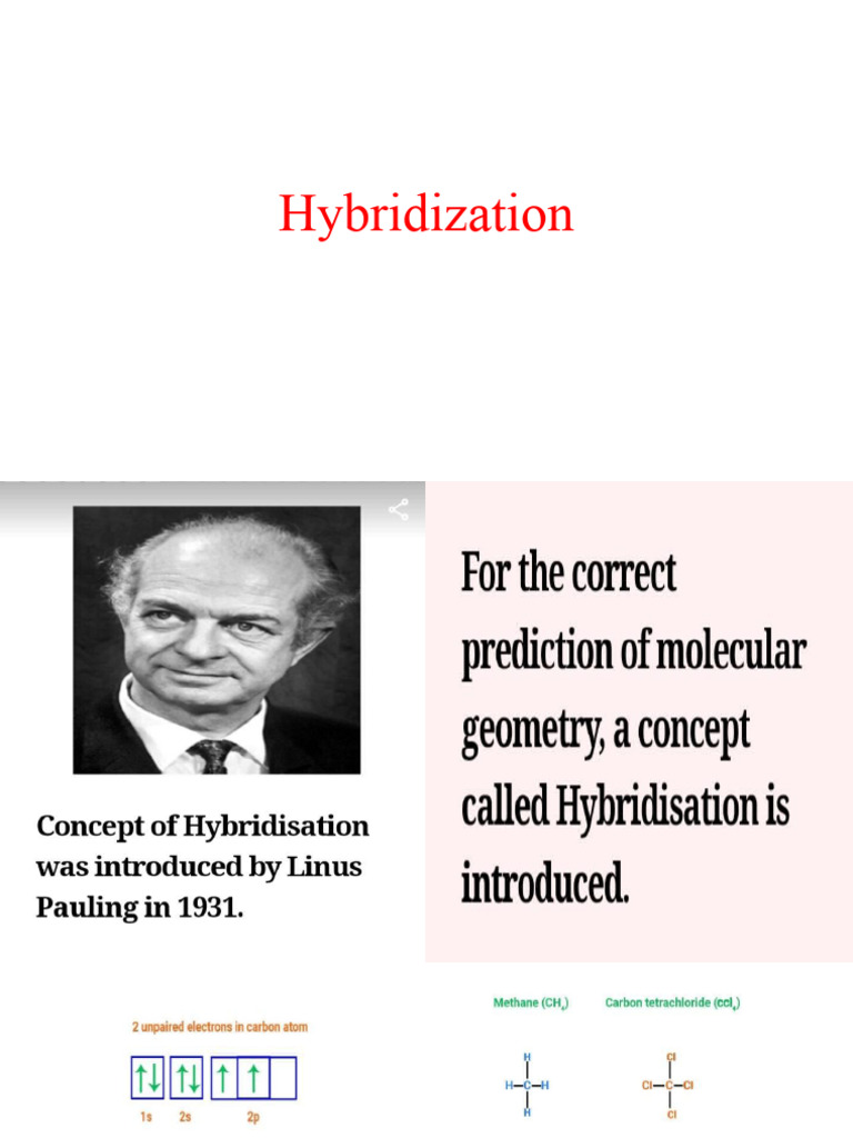 Hybridization | PDF
