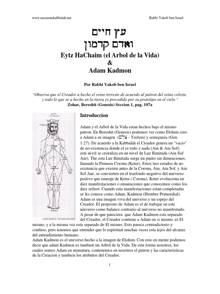 Adam y El Arbol | PDF