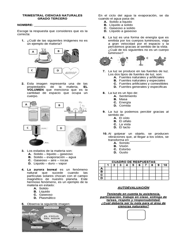 Ciencias Tercero | PDF