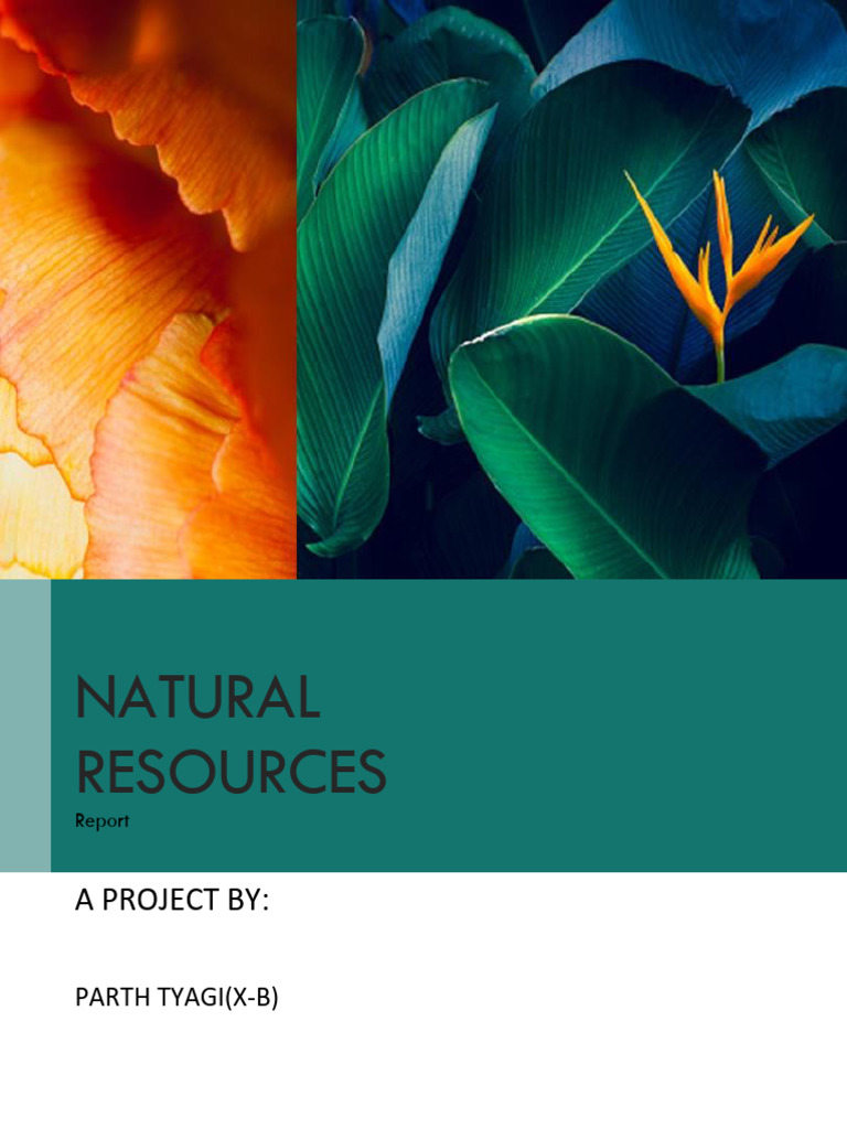 PARTH TYAGI Natural Resources | PDF PARTH TYAGI Natural Resources | PDF