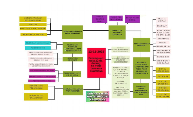 Mind Mapping Kehamilan | PDF
