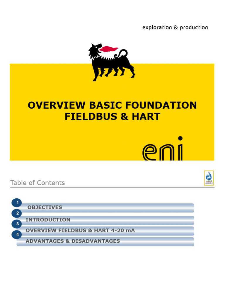 18 Overview Foundation Fieldbus & Hart | PDF