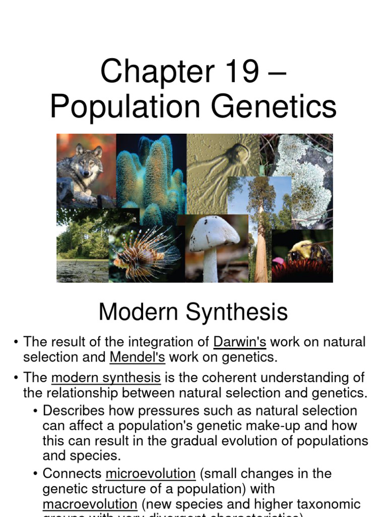 Population Genetics - 082920 | PDF | Science & Mathematics