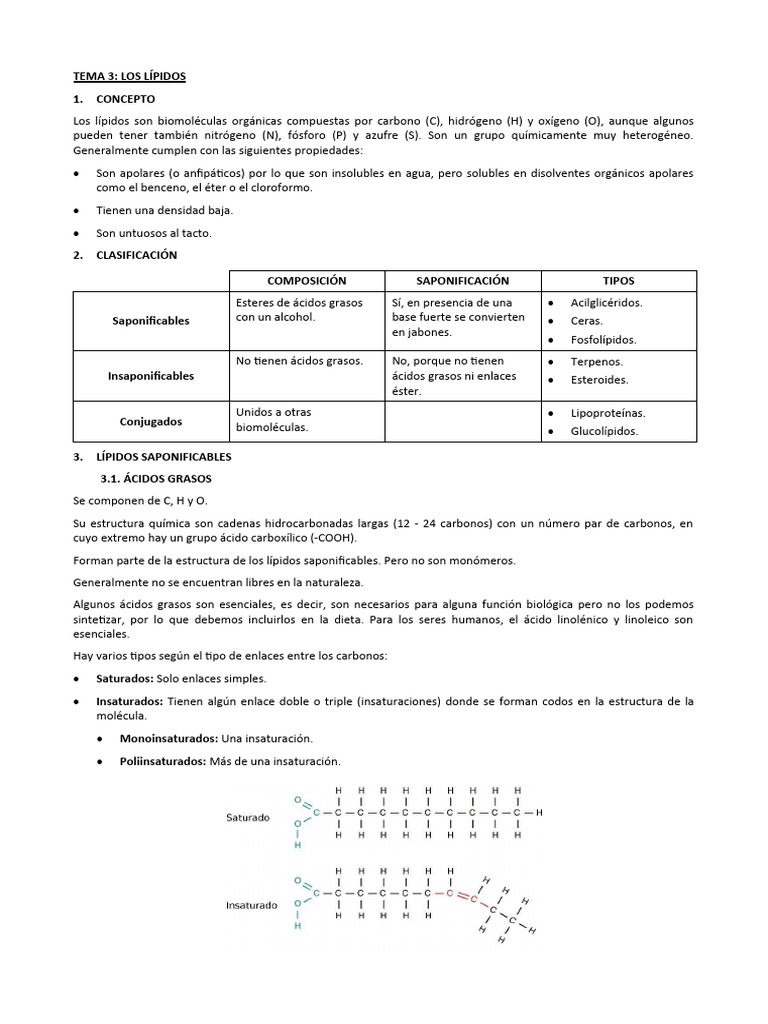 Tema 3. Los Lípidos | PDF