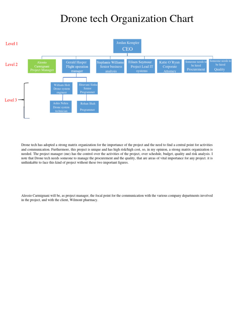 Drone Tech Organization Chart | PDF