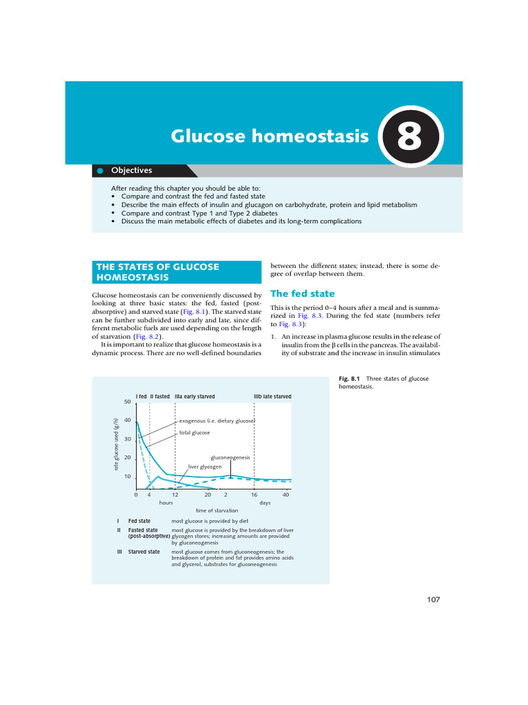 Understanding Glucose Homeostasis | PDF | Insulin | Diabetes