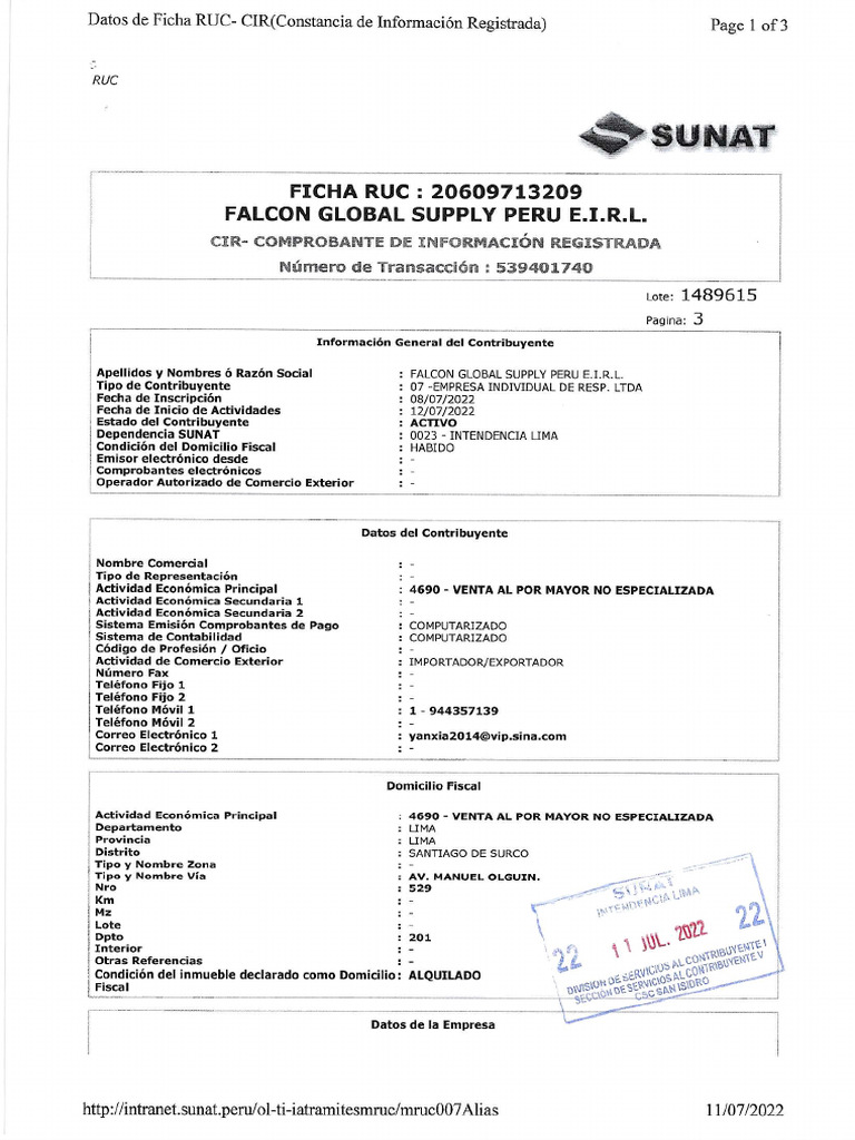 FICHA RUC FALCON | PDF