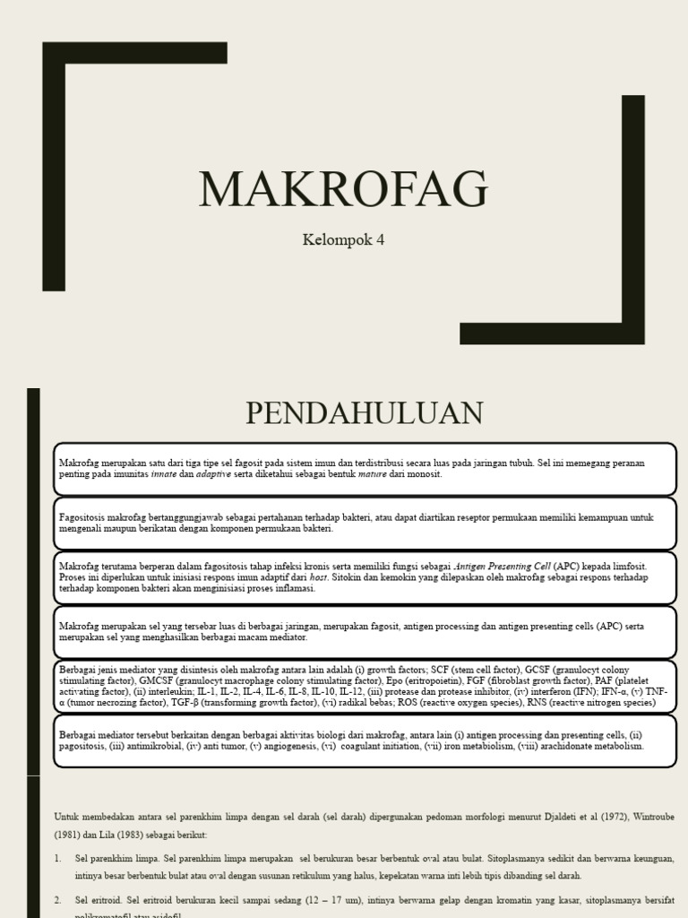 Makrofag Kel 4 | PDF