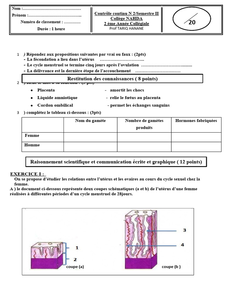 Devoir-N2-SVT-2AC-Semestre-2-1-1 | PDF
