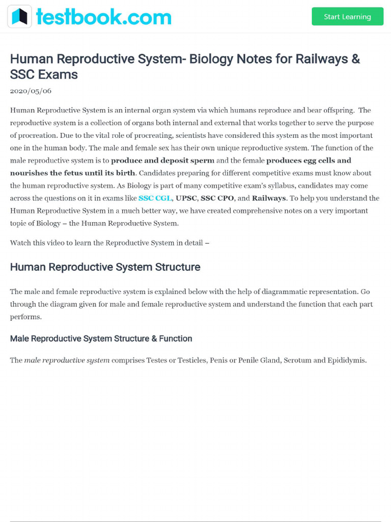 Human Reproductive System | PDF