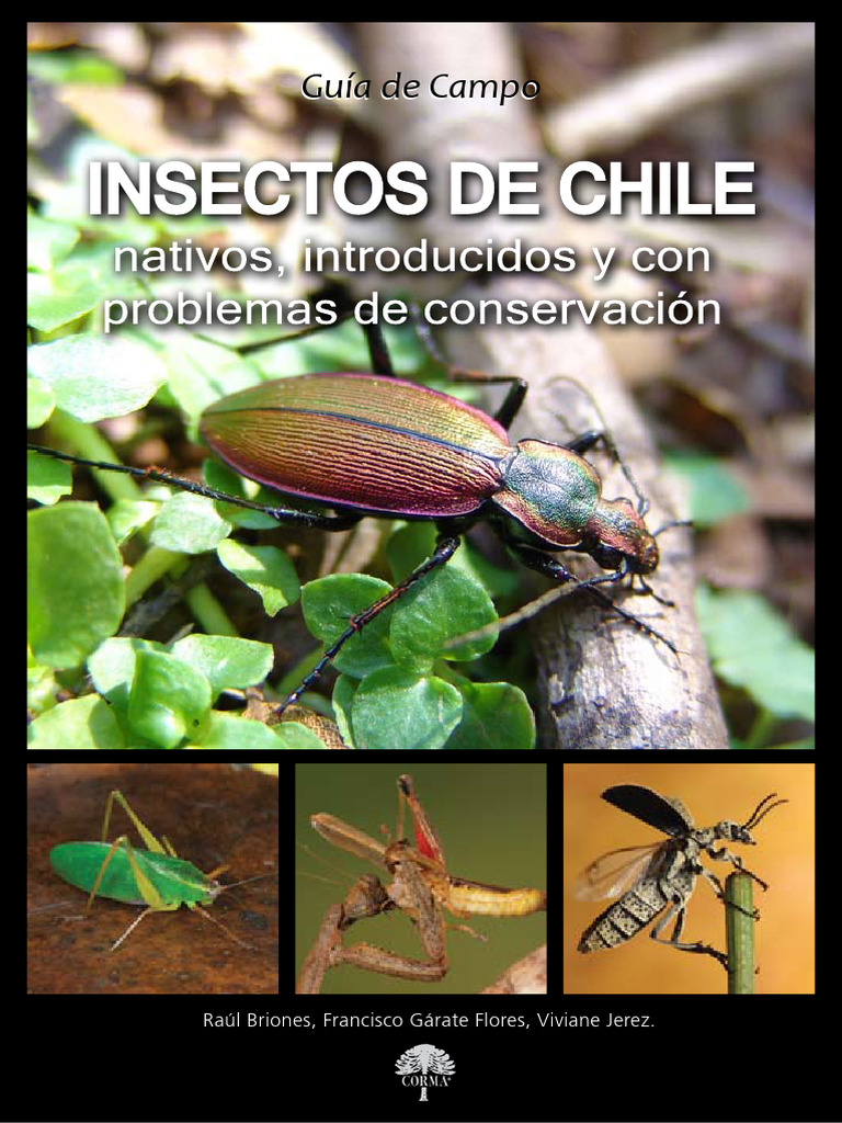 Guia de Insectos Corma | PDF | Insectos | Escarabajo