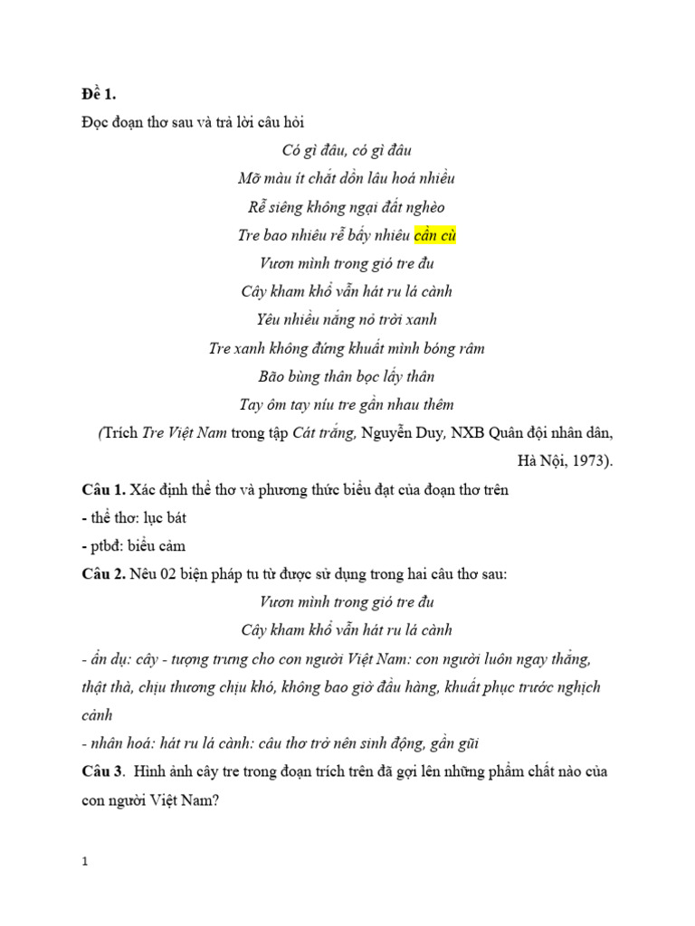 đề đọc hiểu nv9 | PDF