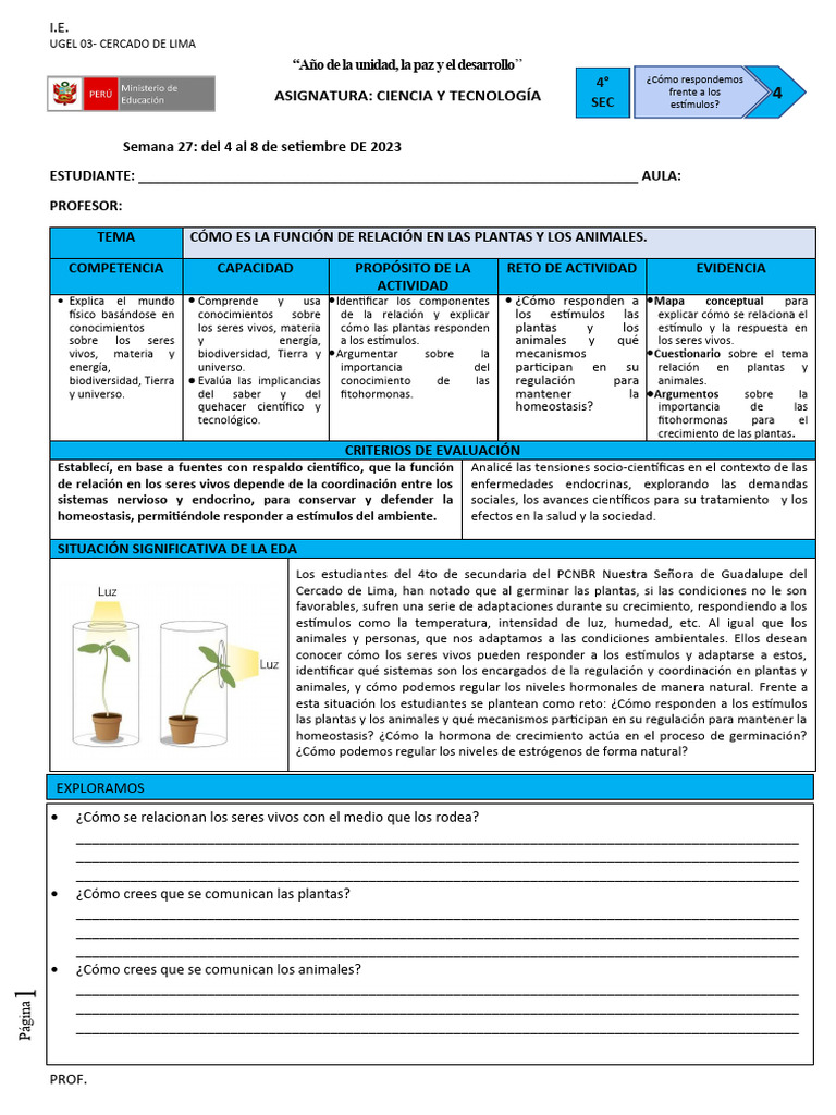 4° Sem 27 Completo Cómo Es La Función de Relación en Las Plantas y Los ...
