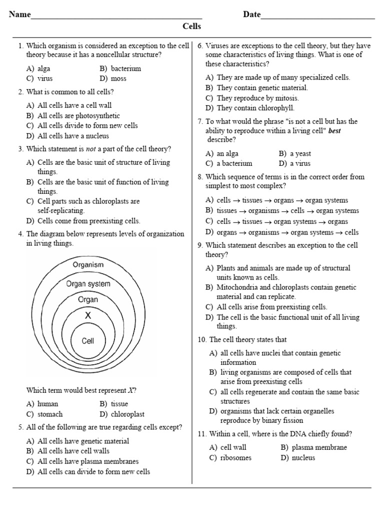 Cells Regents Review | PDF