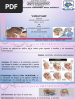 Pasos Quirúrgicos para La Cesárea Tipo Kerr | PDF | Abdomen | Seccion ...